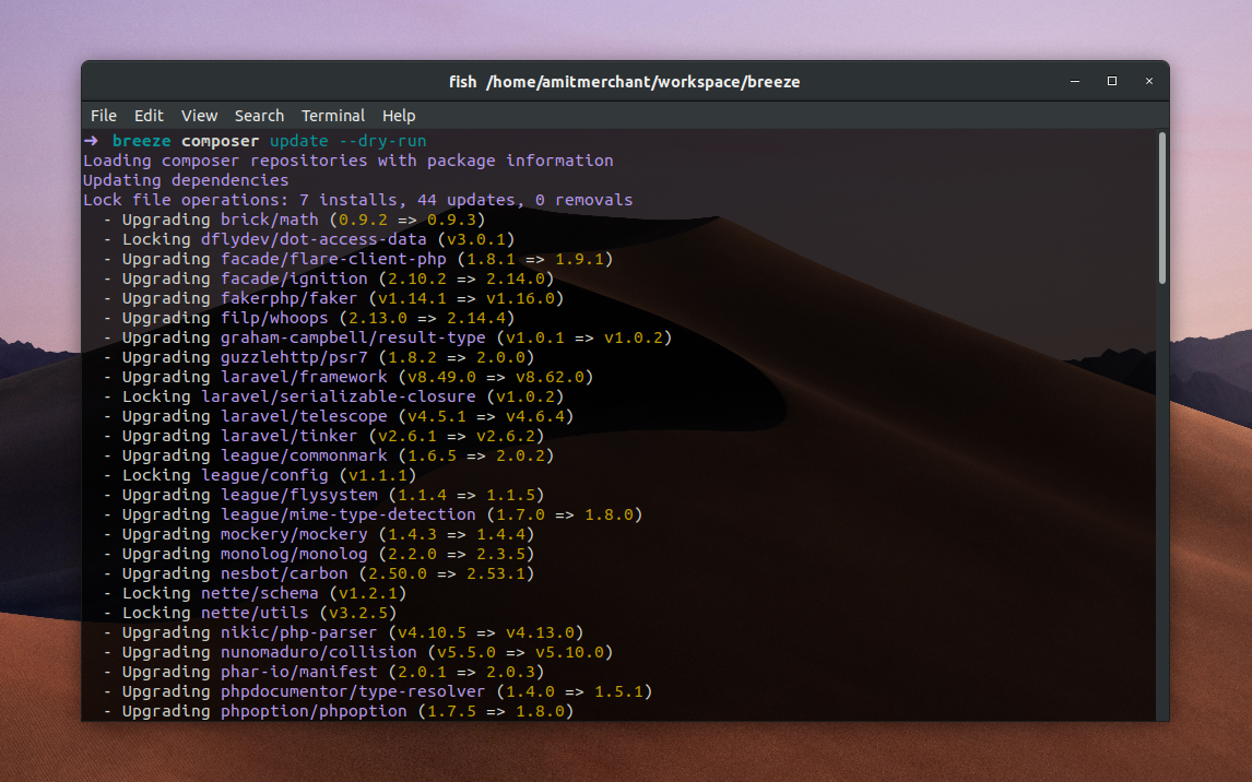 Dry Running Composer Update Without Actually Updating Dependencies 
